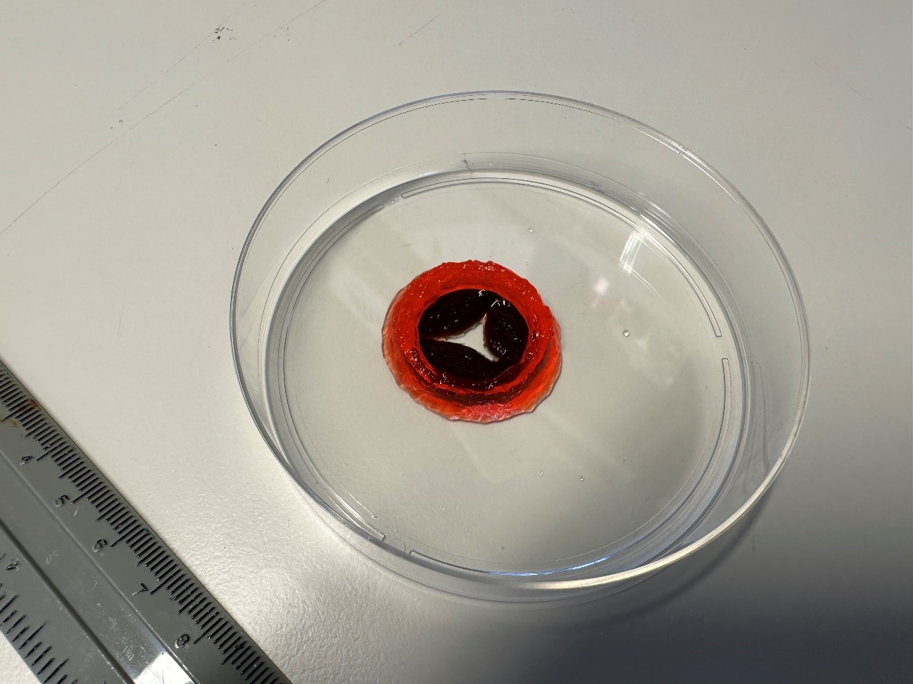 Desenvolvimento de biotintas magnéticas de κ-carragenina e colagénio ...
